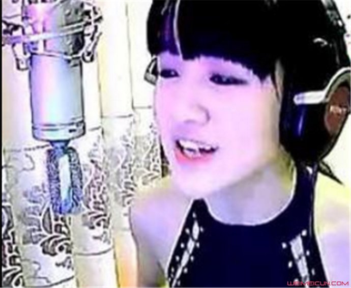 yy文er个人资料 yy文er一个月赚多少钱数目难以估计_资讯 - 聚男网